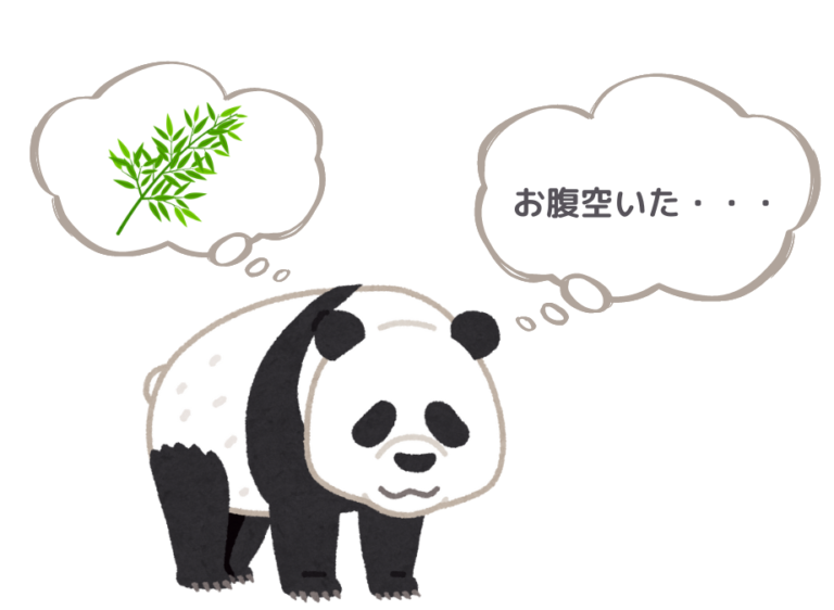 【絶対わかる】 脱入門プログラム制作【python入門コース】 くまねこpython塾